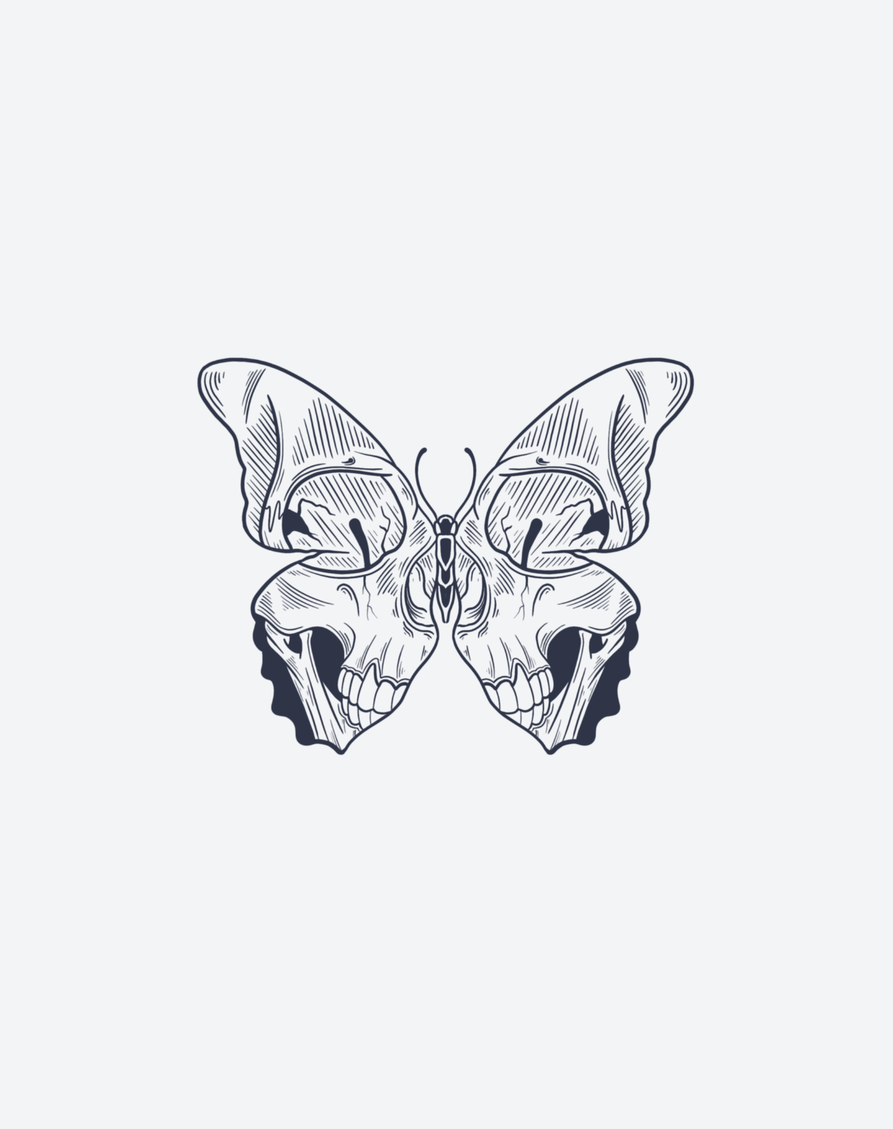 Butterfly Skull Drawing